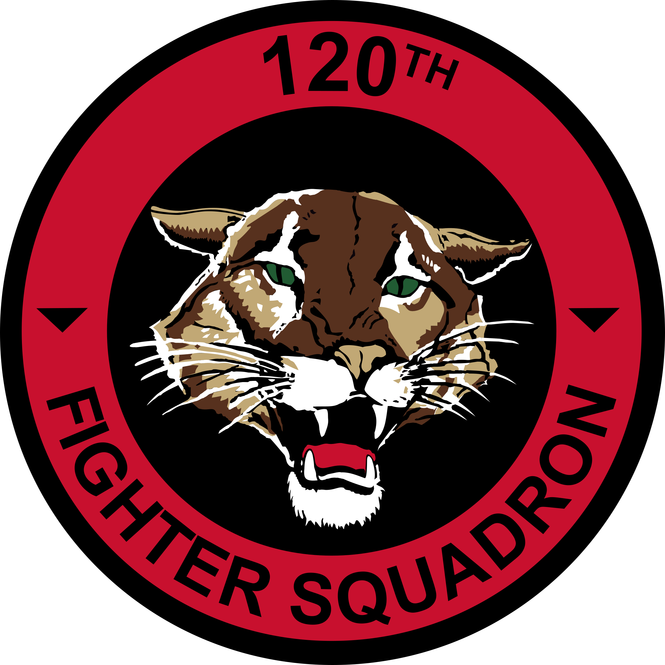 About the Redeyes – Buckley Pilot Job